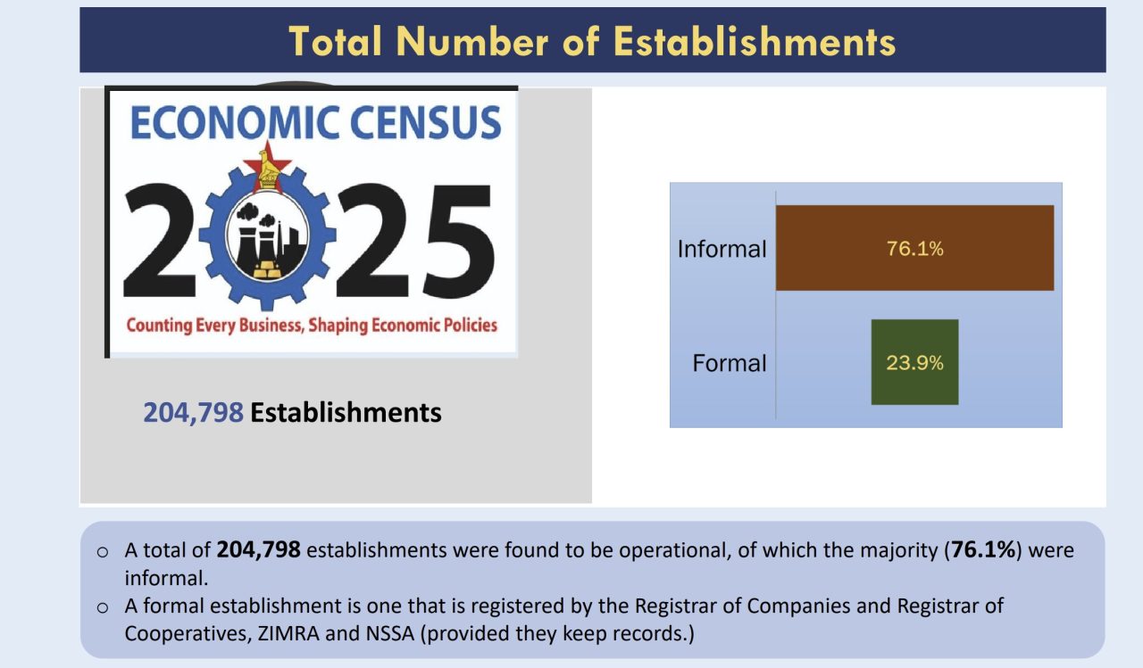 Economic Census Preliminary Report - ZIMSTAT