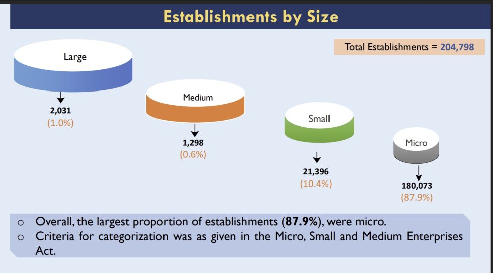 Economic Census Preliminary Report - ZIMSTAT